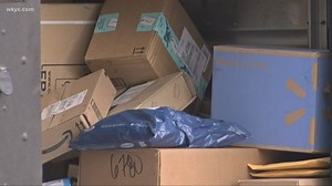 FedEx, UPS already facing shipping delays due to holiday surge