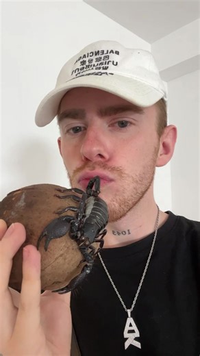 Handling Large Scorpions Safely and Responsibly