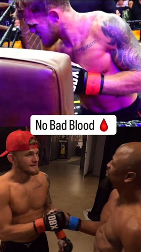 Dirty Boxing Championship on Instagram: "At the end of the day, this is a sport. 🤝 Rewatch all of the action from DBX 4 by clicking the link in bio. 🔗"