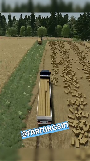 Collecting 6000 mini straw bales with autoload trucks🔥 #farmingsimulator25 #farmingsimulator #fs25 | Farming Sim