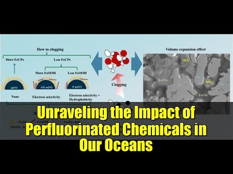 Unraveling the Impact of Perfluorinated Chemicals in Our Oceans