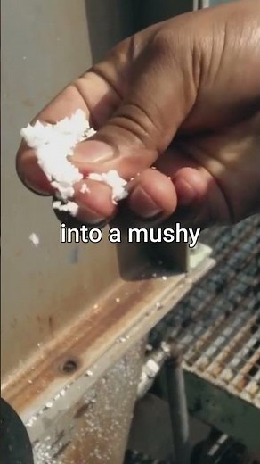 HOW IS PAPER ARE MADE.