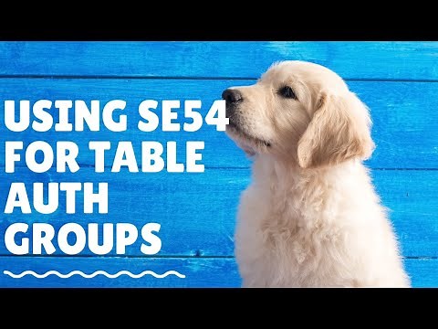 SAP Transactions Concept Series SE54 Assign Auth group to Table