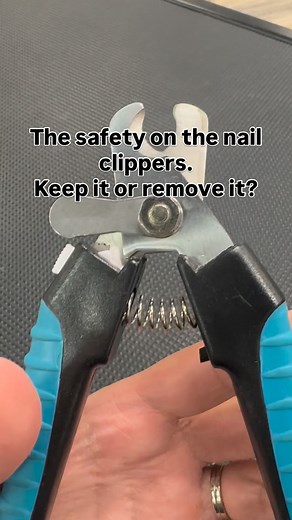 4.7K views | Let’s talk about safety. If your dog is a wiggle worm,...