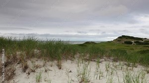 Sand dunes beach on the Cape Cod National Seashore on the Atlantic Ocean Stock Video