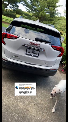 Replying to @riverratandroses before suvs I had two Pontiac G6’s then Kia serento…a Toyota Camry…a Kia soul…and then these…..