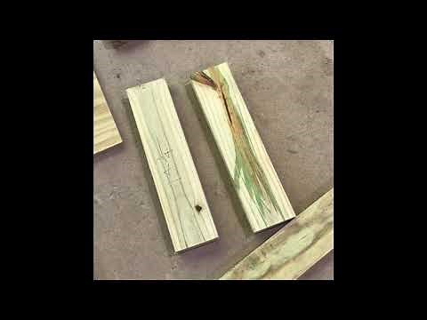 Building Armadillo Trap