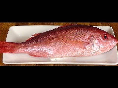How to Clean and Fillet a Snapper - Cleaning & Filleting Snapper Made Simple