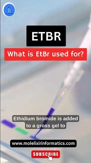 Why Ethidium Bromide (EtBr) Is Added to Agarose Gel | DNA Visualization Explained| Why EtBr in Gel?