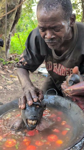 Monkey meat: A taste of the wild, rooted in culture
