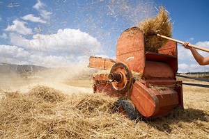 Types of Chaff Cutters: Which one Do You Need?