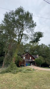 👷‍♂️Tree Service & Landscaping 📍Decatur, GA 🗣️Call us right now and get a #freeestimate ☎️(678) 457-3487 ✅Fully Insured ✅licensed . . . #treeservice #arborist #treework #treeremoval #treecare #treelife #treesurgeon #trees #arblife #stihl #tree #chainsaw #treeclimber #treeclimbing #arboriculture #treecutting #arboristlife #treebiz #treefelling #logger #treetrimming #logging #treeworker #arboristsofinstagram #treesurgery #stihlchainsaw #forestry #treestuff #loggers | Jireh Tree Services & Lands