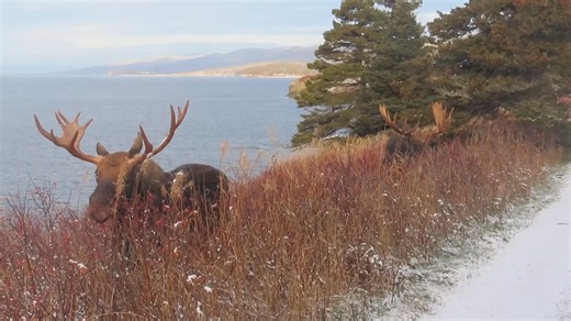 Jean-Paul Bourget on Reels