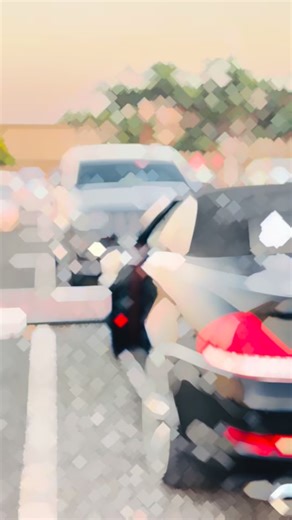 𝐉𝐚𝐭𝐭𝐳 𝟎𝟕🍁 on Instagram: "_____ level💯🦬 @bains_0_7"