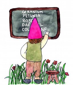 How to plan the ‘starter garden’