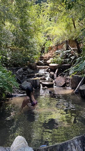 San Martin de los Andes on Instagram: "Entre bosques patagónicos, senderos húmedos y el sonido del río, aparecen las Termas del Queñi: un rincón natural donde el agua brota caliente de la tierra y regala ese momento único de relax en plena montaña ♨️✨ Un lugar hermoso y 100% natural, que solo se mantiene así si lo cuidamos entre todos. ♨️ Propiedades del agua: termal, mineral, ideal para relajar músculos después de la caminata. ⏱️ Acceso: trekking por sendero boscoso dentro del Parque Nacional L