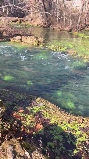 footprintsandmissouri on TikTok