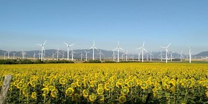 Infinite Scrolling in React using JavaScript Generator