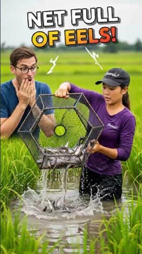 CRAZY NET FISHING TRAP PULLS UP A RIVER OF EELS!