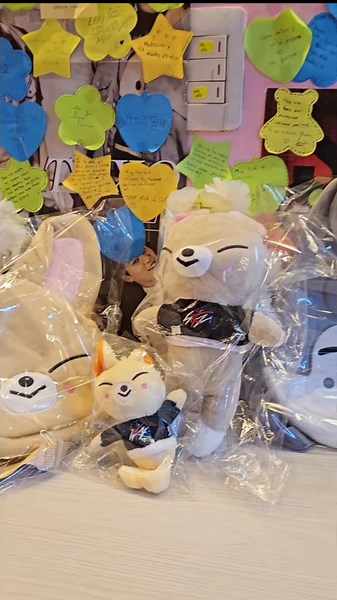 Nos llegaron mas mochilitas de SKZOO, corran que nos quedan pocas unidades!! #tourdominatestraykids #straykidsenperu #skzoo #straykids #productoscoreanos #coreanoenhuancayo #coreanohuancaino #coreanoenperu #neomuyeppo #parati #fyp #foryou