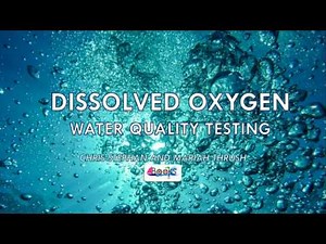 Dissolved Oxygen: Water Quality Testing