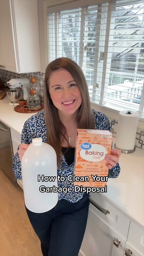 Garbage Disposal Cleaning Tips for Spring | Kitchen Cleaning
