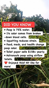 162K views · 1K reactions |  Weird Facts About Poop You Didn’t Expect  #BodyFacts #UnusualTruths #CrazyScience | Bangla Quiz | Facebook