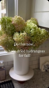 9.3K views · 257 reactions | Hydrangea season is upon us and the...