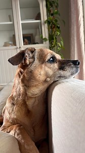 161K views · 24K reactions | Upcycling is so fun!! Who knew that you could melt crayons and make new ones? You can do all one color or mix them. Just make sure you put enough crayons in the molds so they're not too thin. Would you try this? Next up: repairing a thrifted damaged sweater. Love you all and happy new year  . . . #upcycling #sustainable #goodwillfinds #thrifted #diycrayons | Consciously curated home and staging | Facebook