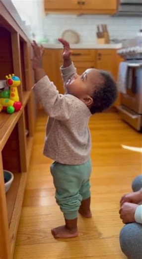 Toddler's Toy Challenge on Tiptoe!