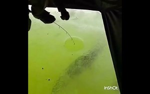 The ice fishing equivalent of "We're going to need a bigger boat" | Sportsmens Compass