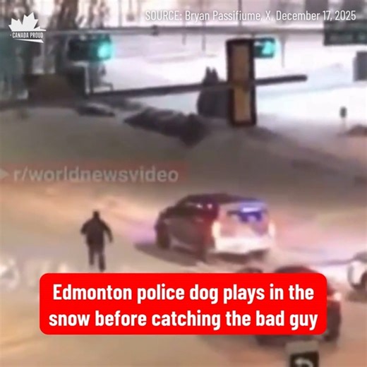 Canada Proud on Instagram: "Nothing wrong with having a little fun at work!"