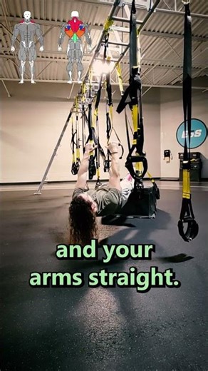 Inverted Row with Straps