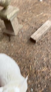 I have a take out / Spy window set up to see what fun we can have some fun with | Our Farmacy