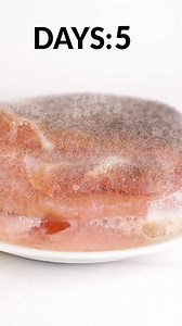 My Handsome Pet Maggots 🥩 #rotting #timelapse #food #usa | Time Treats