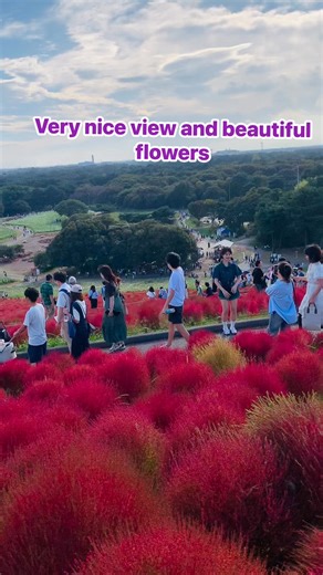 Very nice view and beautiful flowers #veryniceview #flowerslovers #buhayjapan #followerseveryonehighlightseveryone #ｖｉｒａｌｖｉｄｅｏシ | Asuncion Labiaga Magtulis
