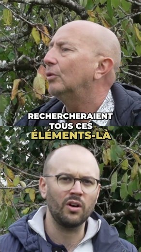 Subdividing buildings: how to adapt your price to the persona?