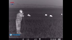 Heading into the weekend with a BANG! Pulsar Night Vision | NEMO Arms, Inc. | Freedom Munitions (Official) | Keith Warren