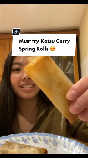 Delicious Katsu Curry Spring Rolls You Must Try