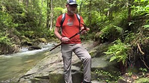 Designer Art Wooden Cane Walking Stick Horse With Saddle - Animal Wood Carved Walking Cane Handle Best Gift for Man Woman Who Needs Support - Etsy