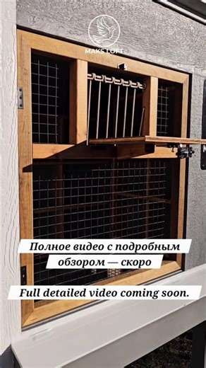 Голубятня для гонна | Small pigeon loft 2026 #maksloft #bird #pigeon