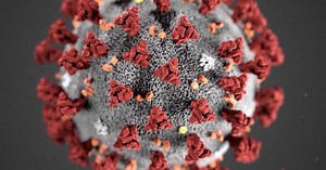 COVID-19 contact tracing apps causing privacy concerns