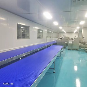 [Hot Item] Automated Food Packaging Equipment Packing Cookie Belt Conveyor Primary Packaging Systems