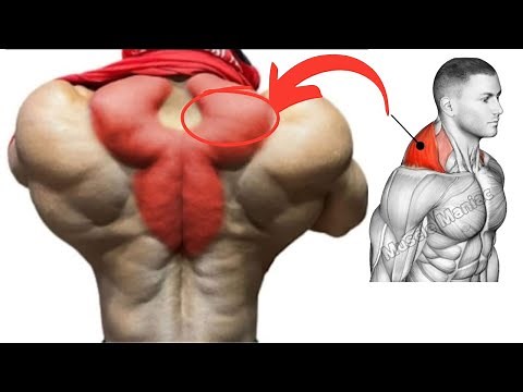 Best Exercises For BIG Traps Fast (Wider Trapezius)