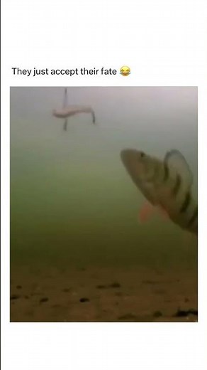 When the Fish Bites and Immediately Regrets It 😭🐟 #shorts #fishing #funny