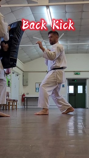 Martial Arts Tutorial: Mastering the Basic Back Kick