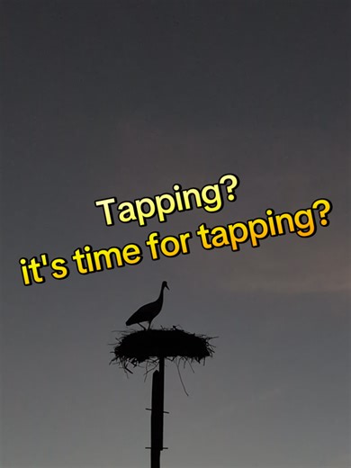 It's time for tapping! #thetappingpoint #eft #EFTTapping #tapping #DailyTapping