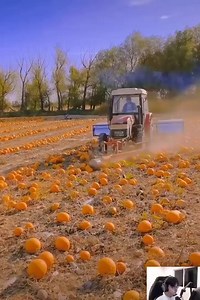 24K views · 234 reactions | Wonderful creativity technology | Divya Reddy | Facebook