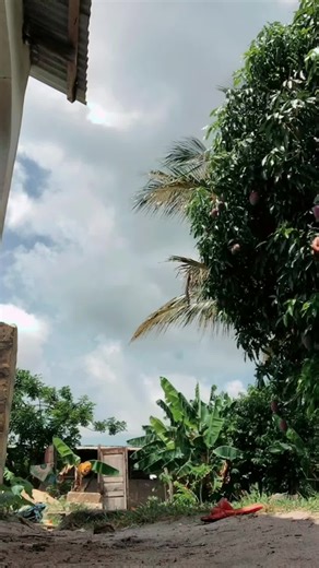 #CapCut #ready or not challange#viral #amapianoisalifestyle #vibes