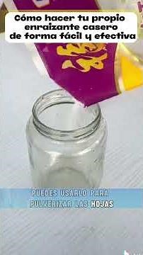 How to make your own homemade rooting agent easily and effectively?